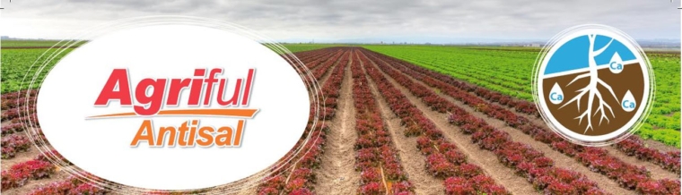 Agriful Antisal - Universal Group